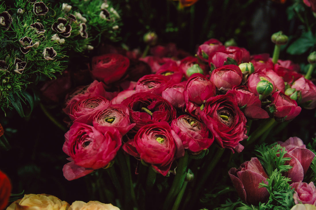 Florist in Wheaton IL | Flowers of Wheaton | Same-Day Delivery